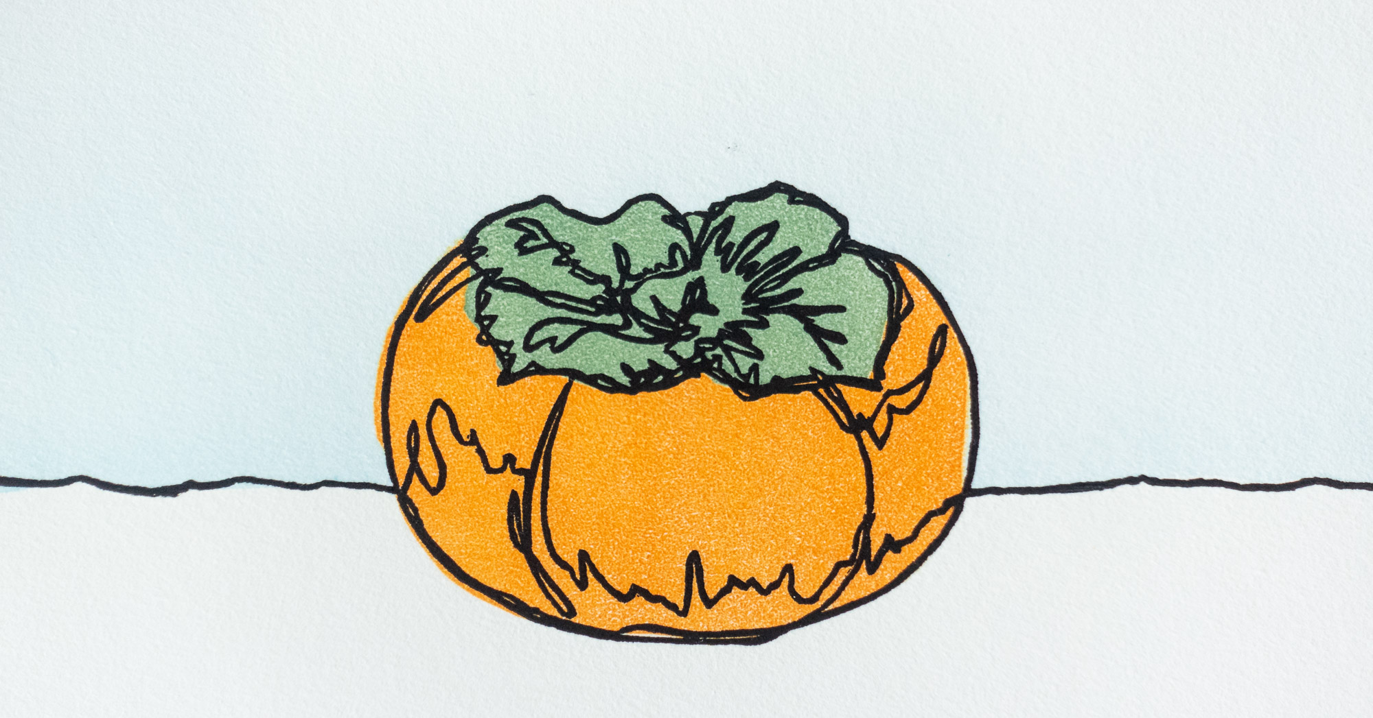 Persimmon | Lauren Nishizaki Designs